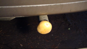 Potato in Exhaust Pipe: A Prank with Serious Consequences - Ask My Auto